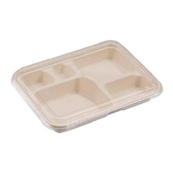 Sugarcane Food Containers | PakPlast